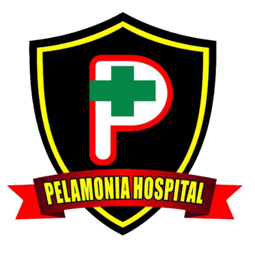 PEKPPP RS TK.II PELAMONIA MAKASSAR - RUMAH SAKIT TK.II 14.05.01 PELAMONIA